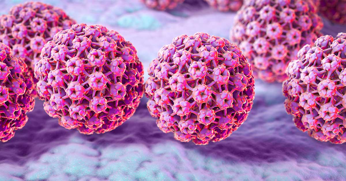 HPV virus, infekcije i liječenje - Ginekologija Boras